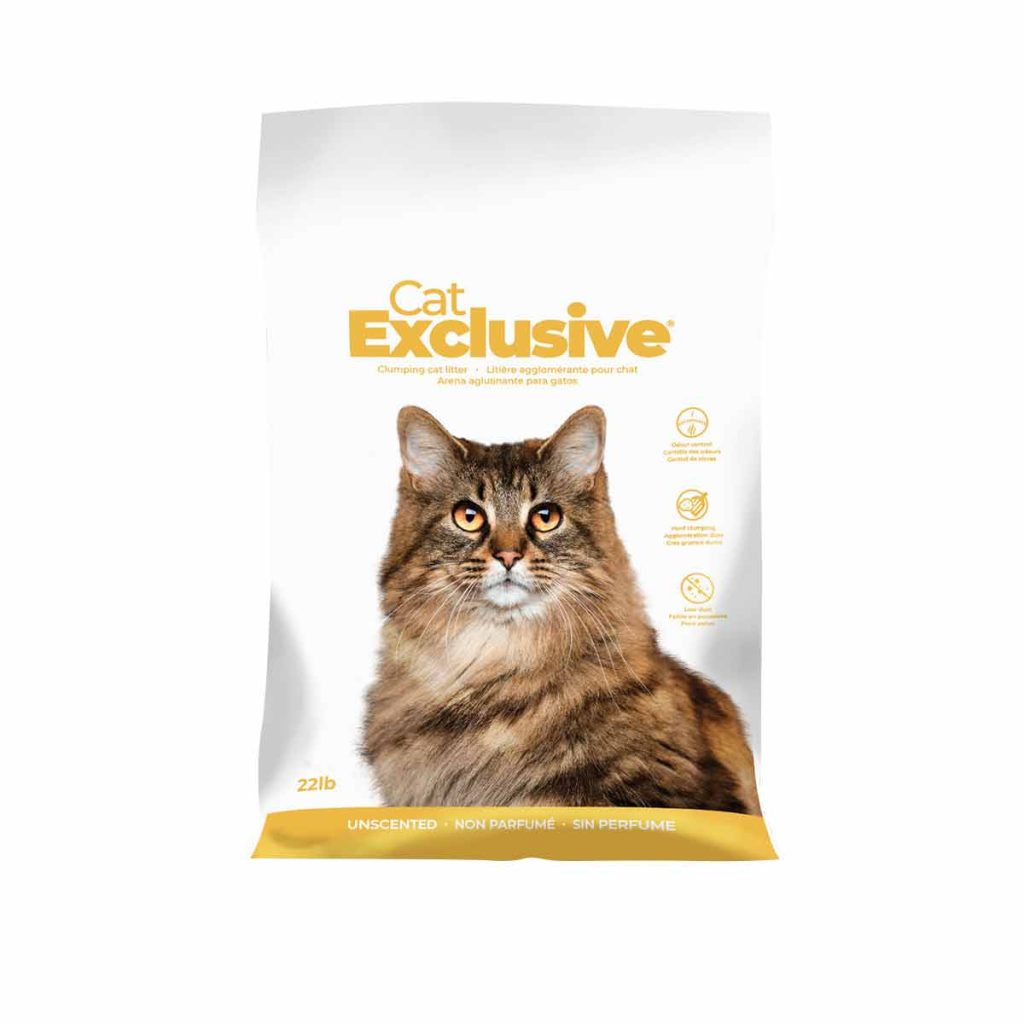 Arena Cat Exclusive 10 Kgs - Petcity